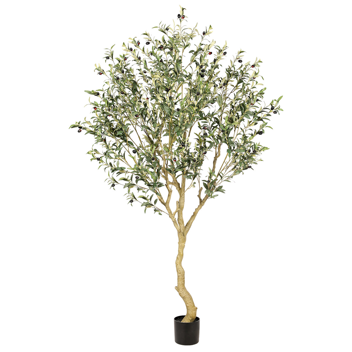 Realead 7’ Curved Olive Tree – REALEAD